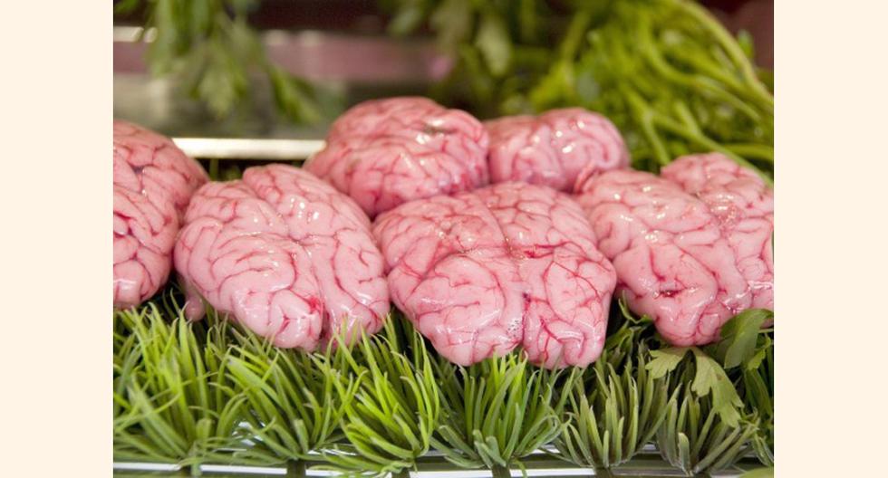 Tendencias: El cuy figura entre las 15 comidas más raras del mundo ...