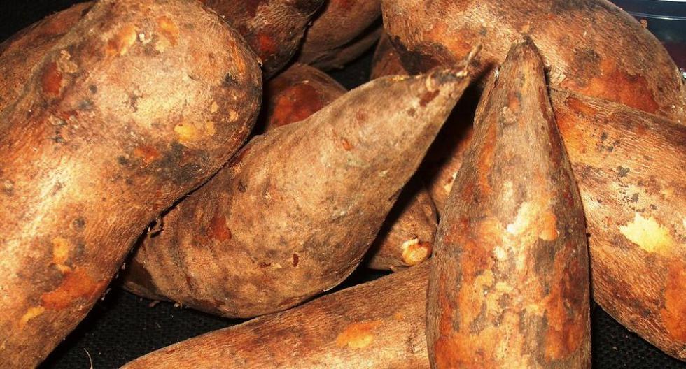 Yacón peruano llegó a 35 países durante el 2017 | ECONOMIA | GESTIÓN