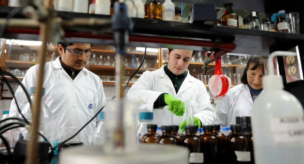 Concytec: Conoce el perfil de los investigadores peruanos | TENDENCIAS ...