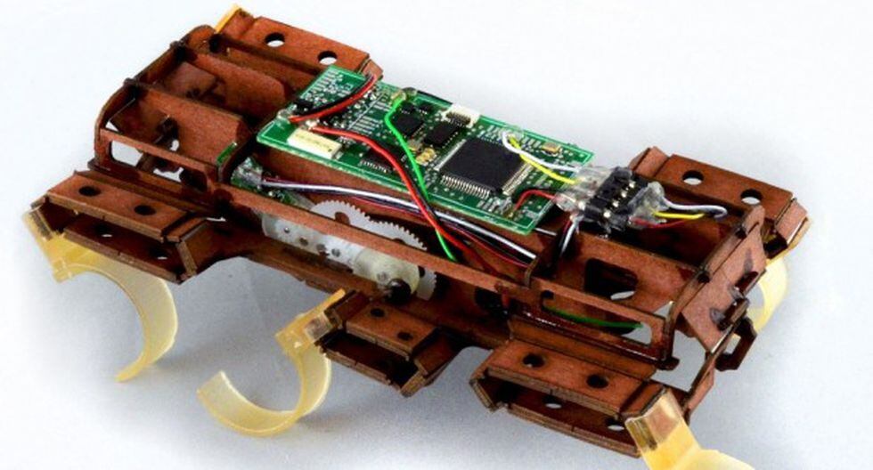 Tecnología: La era de los insectos robot | NOTICIAS GESTIÓN PERÚ