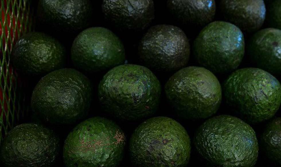 Nueve alimentos estimulantes para tu cerebro | TENDENCIAS | GESTIÓN