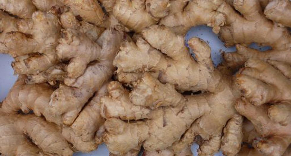 Kion peruano: conoce por qué lo prefieren los importadores de EE.UU ...