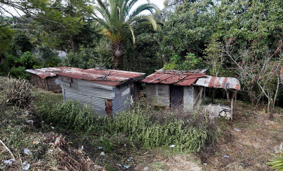 FAO | Preocupación por ralentización de la reducción de la pobreza ...