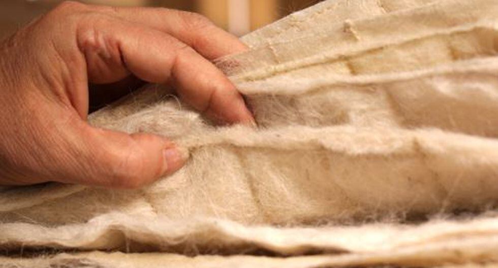 Arequipa: Innovador proyecto fabrica textiles con fibra de alpaca ...