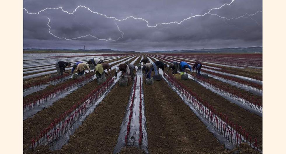 El mundo rural a través de diez fotografías | TENDENCIAS | GESTIÓN