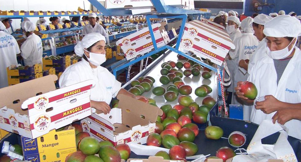 Agroexportaciones peruana llegaron a 148 países durante el último año ...