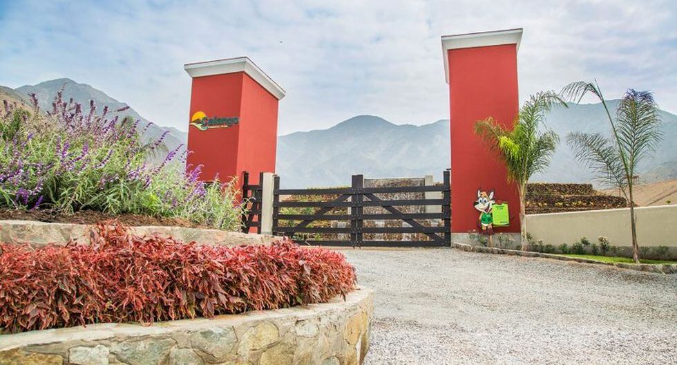 Calango, un valle soleado al sur de Lima que busca ser alternativa para ...