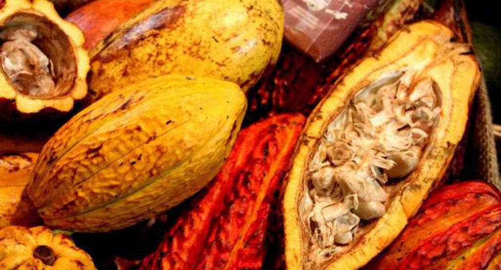 Exportación de cacao a Canadá sumó más de US$ 644,000 entre enero y ...