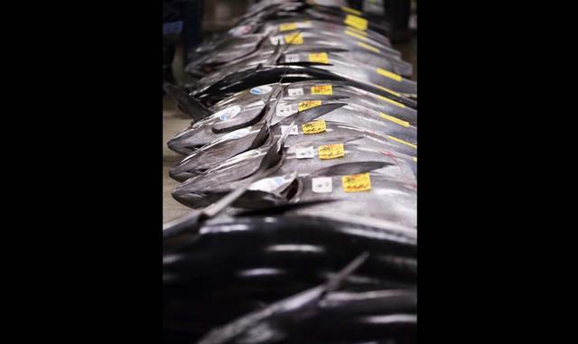 Nueve alimentos estimulantes para tu cerebro | TENDENCIAS | GESTIÓN