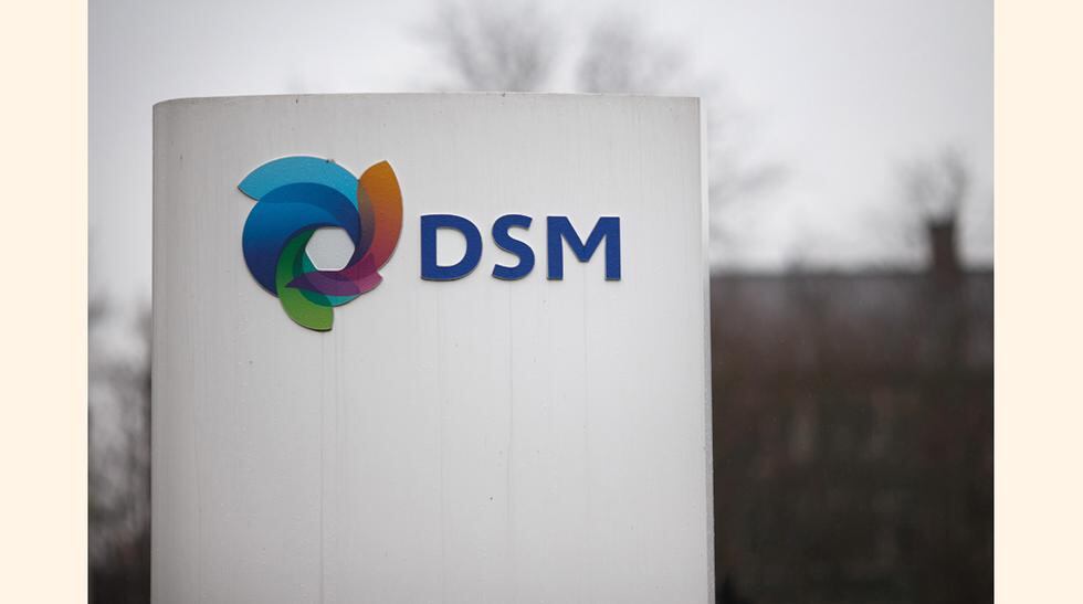 Conoce a las 20 compañías más sostenibles del mundo, según Forbes ...