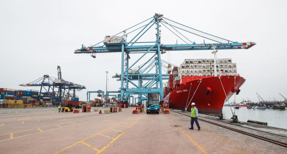 Covid-19 llega a puerto del Callao y exportadores temen que colapse ...