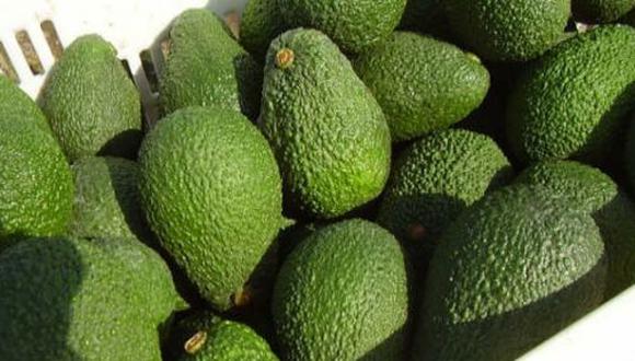 Palta Hass llega a 35 mercados y exportaciones superan los US$ 305 ...