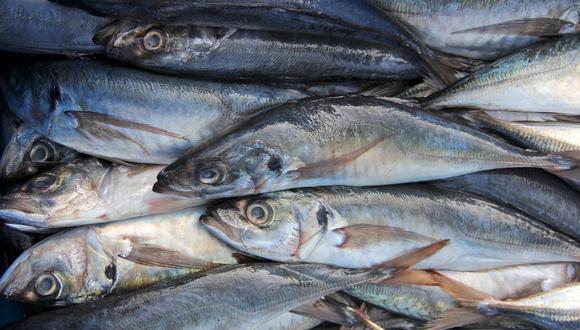 Perú respondió a Chile y negó que haya aumentado cuota de captura de ...