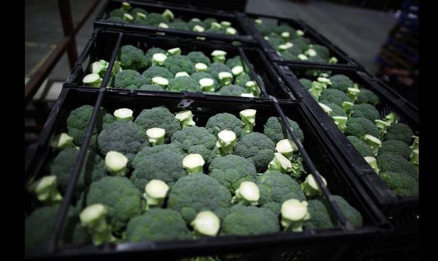 Nueve alimentos estimulantes para tu cerebro | TENDENCIAS | GESTIÓN