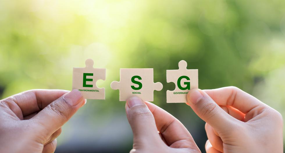 ESG | ASG | sostenibilidad | medio ambiente | Los beneficios de adoptar ...