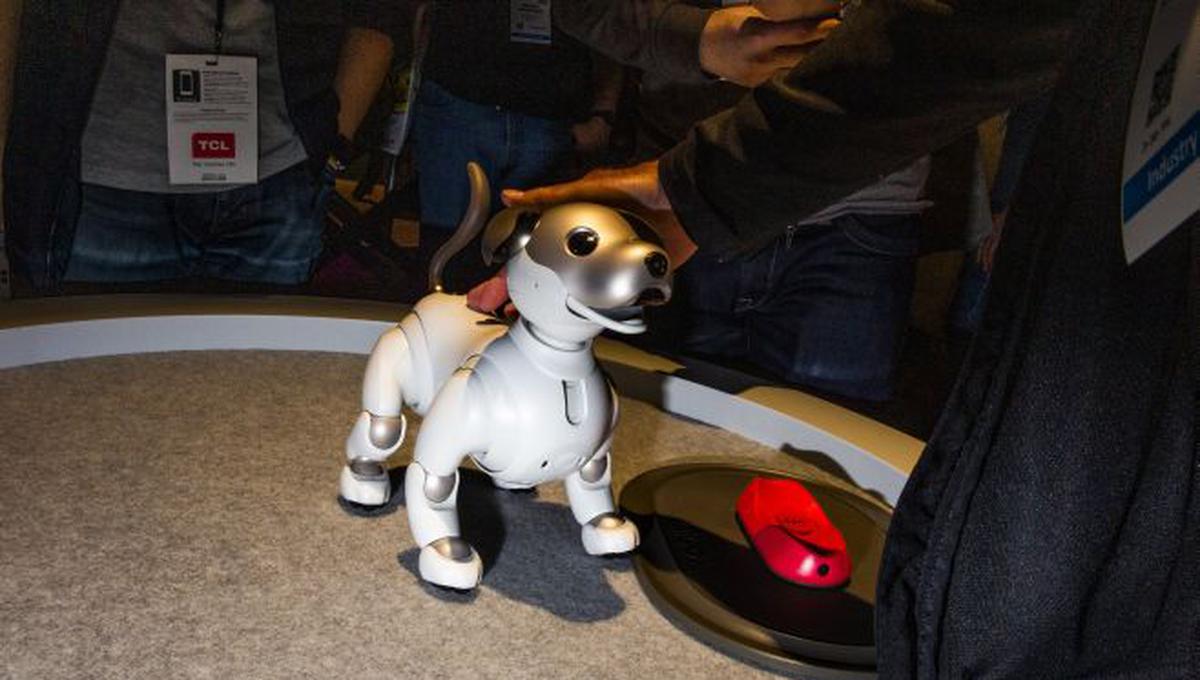 Sony presenta una versión "policía" de su perro-robot Aibo | TECNOLOGIA | GESTIÓN
