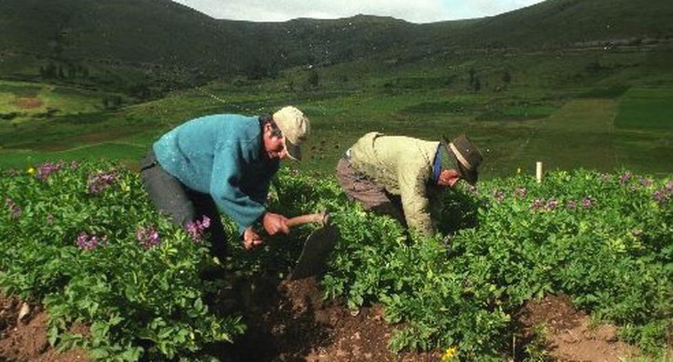 A 50 años de la reforma agraria ¿cómo varió la propiedad de la tierra ...