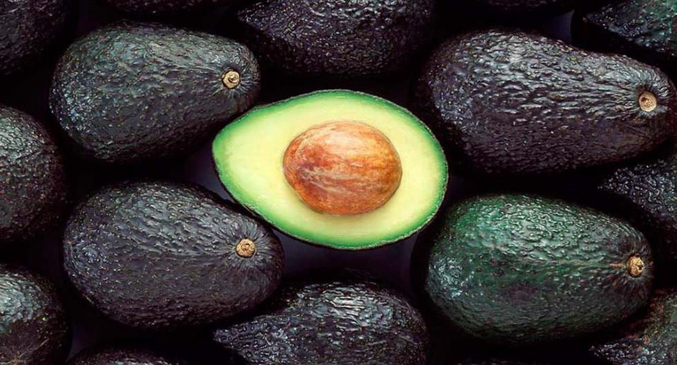 Exportadores de palta Hass tendrán nueva estrategia el 2020 para lograr ...